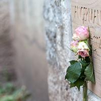 Gedenkseite für Benjamin Koster | Bestattungen Bühmann